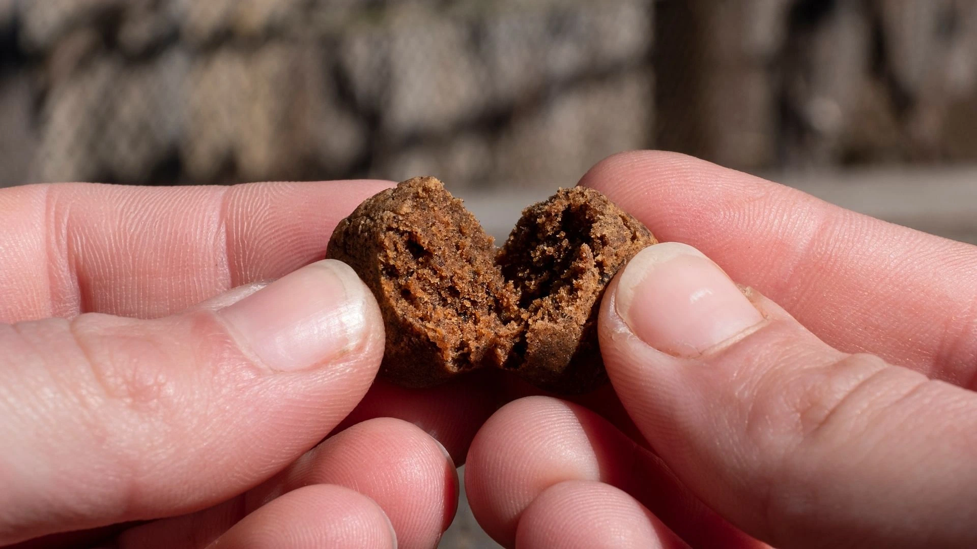 Can I Make Hash at Home? A Comprehensive Guide to Crafting Quality ...