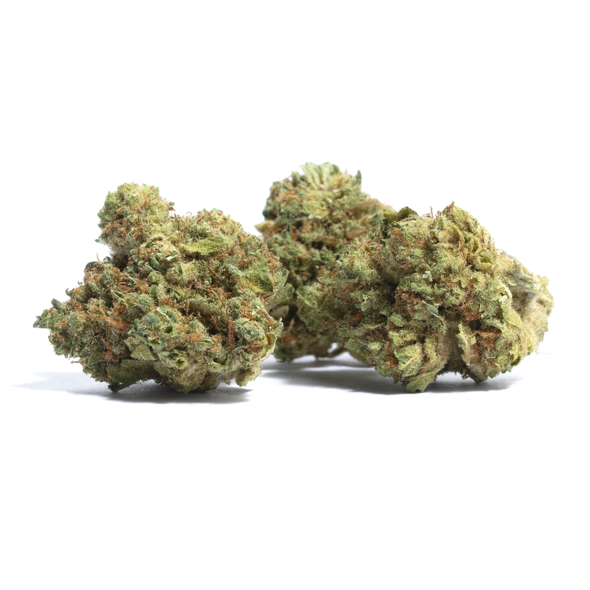 Strain Review: Mango Haze - Surrey Weed Delivery