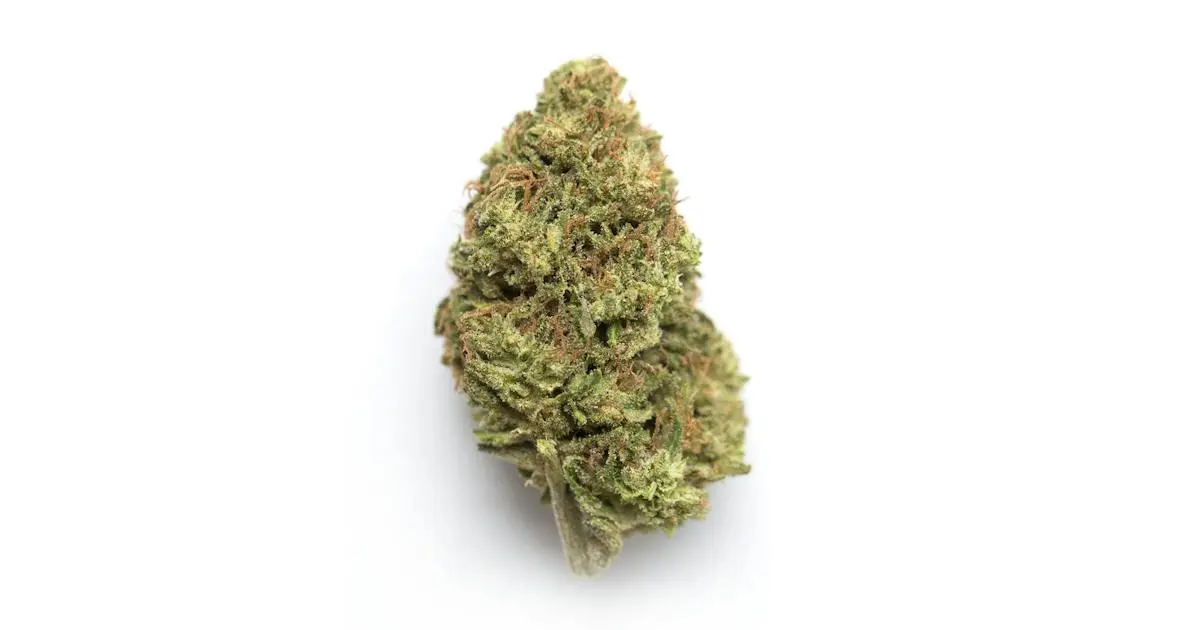 Strain Review: Chemical Compound - Surrey Weed Delivery