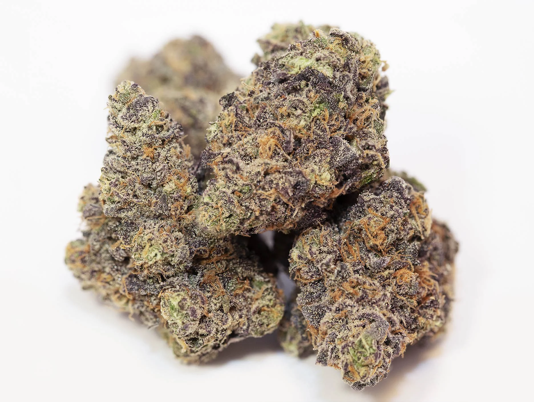 Strain Review: Gush Mints - Surrey Weed Delivery