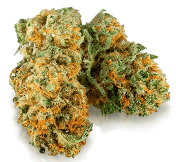 Strain Review: Harlequin - Surrey Weed Delivery