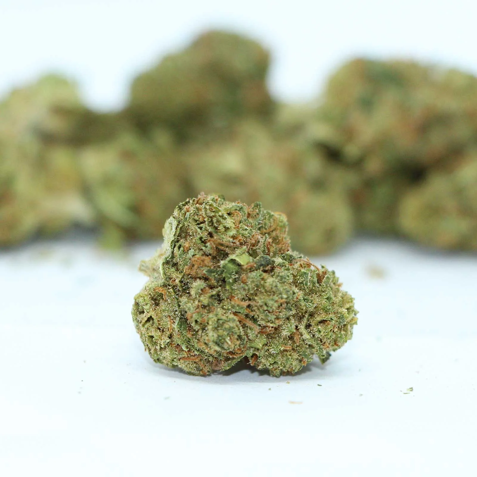 Strain Review: Island Honey - Surrey Weed Delivery