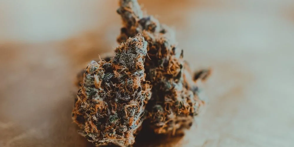 Strain Review: Island Honey - Surrey Weed Delivery