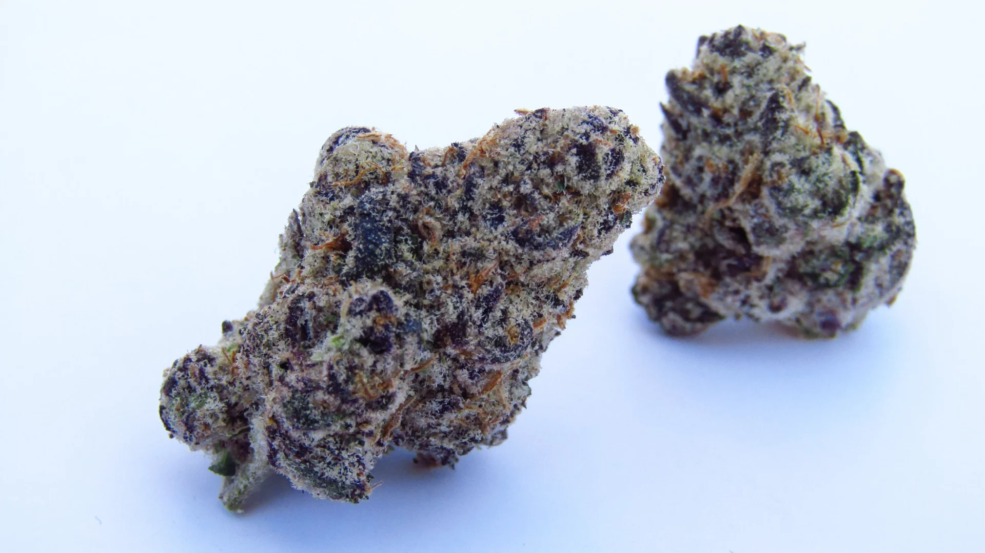 Strain Review: Lava Cake - Surrey Weed Delivery