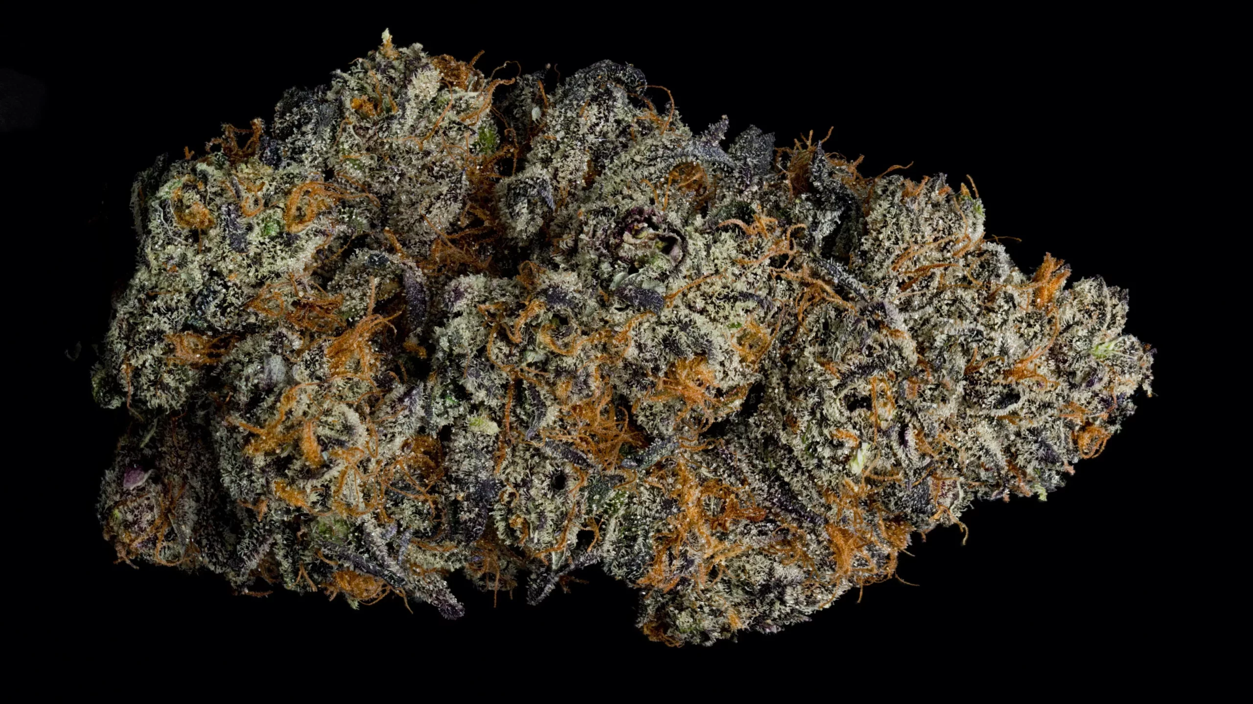 Strain Review: Night Terror - Surrey Weed Delivery