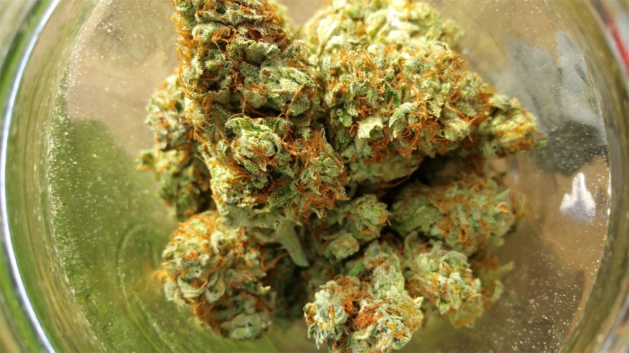 Strain Review: Power Kush - Surrey Weed Delivery