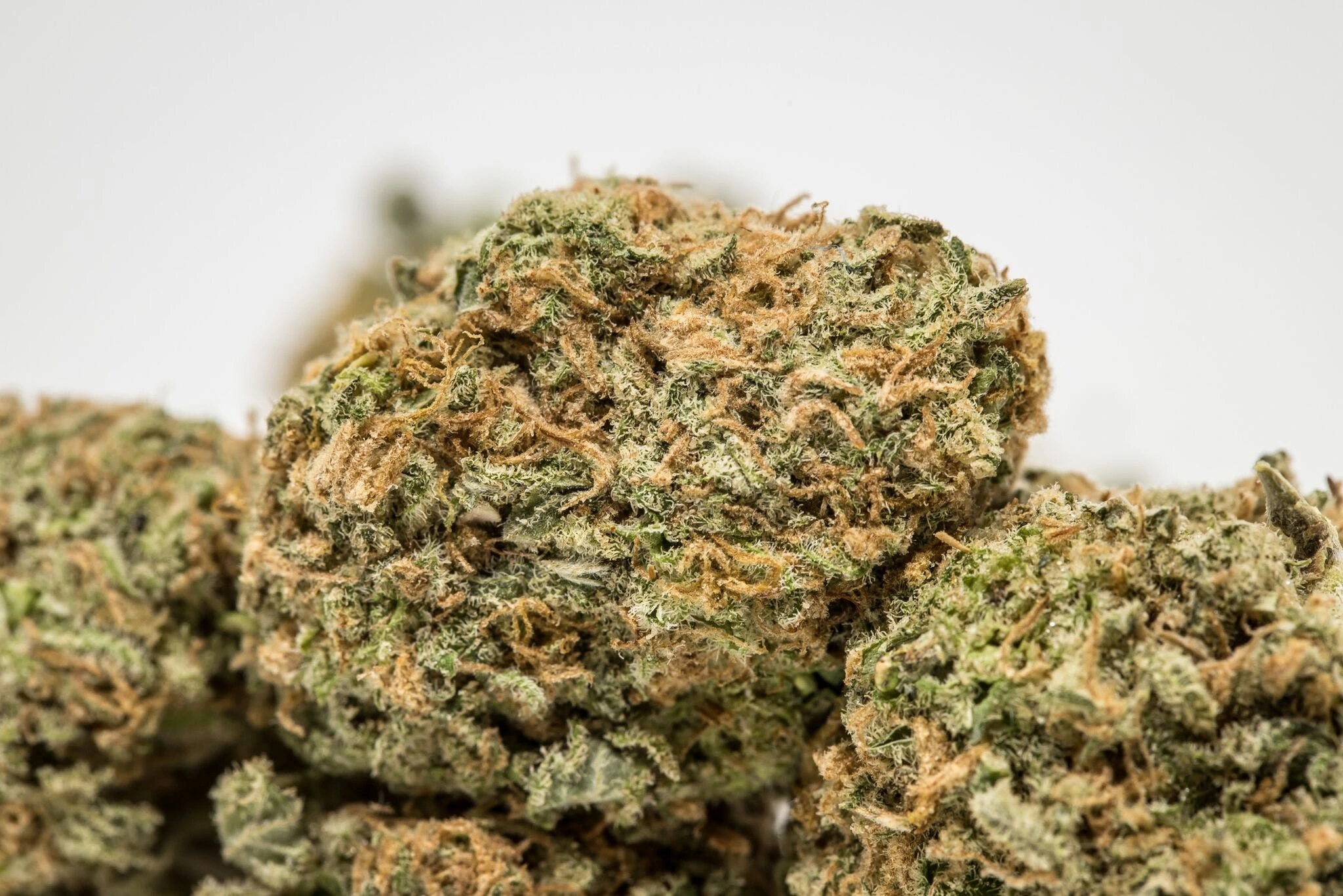 Strain Review: Kush Cookies
