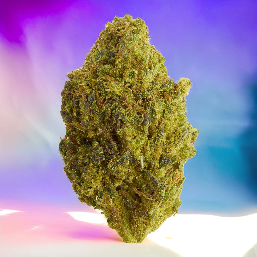 Strain Review: Northern Lights - Weed Delivery Tri-Cities