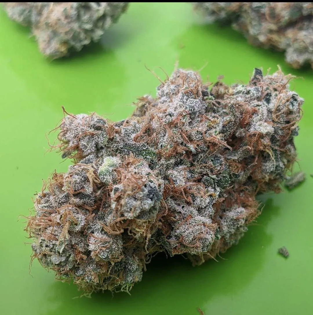 Strain Review: Cataract Kush - Weed Delivery Tri-Cities