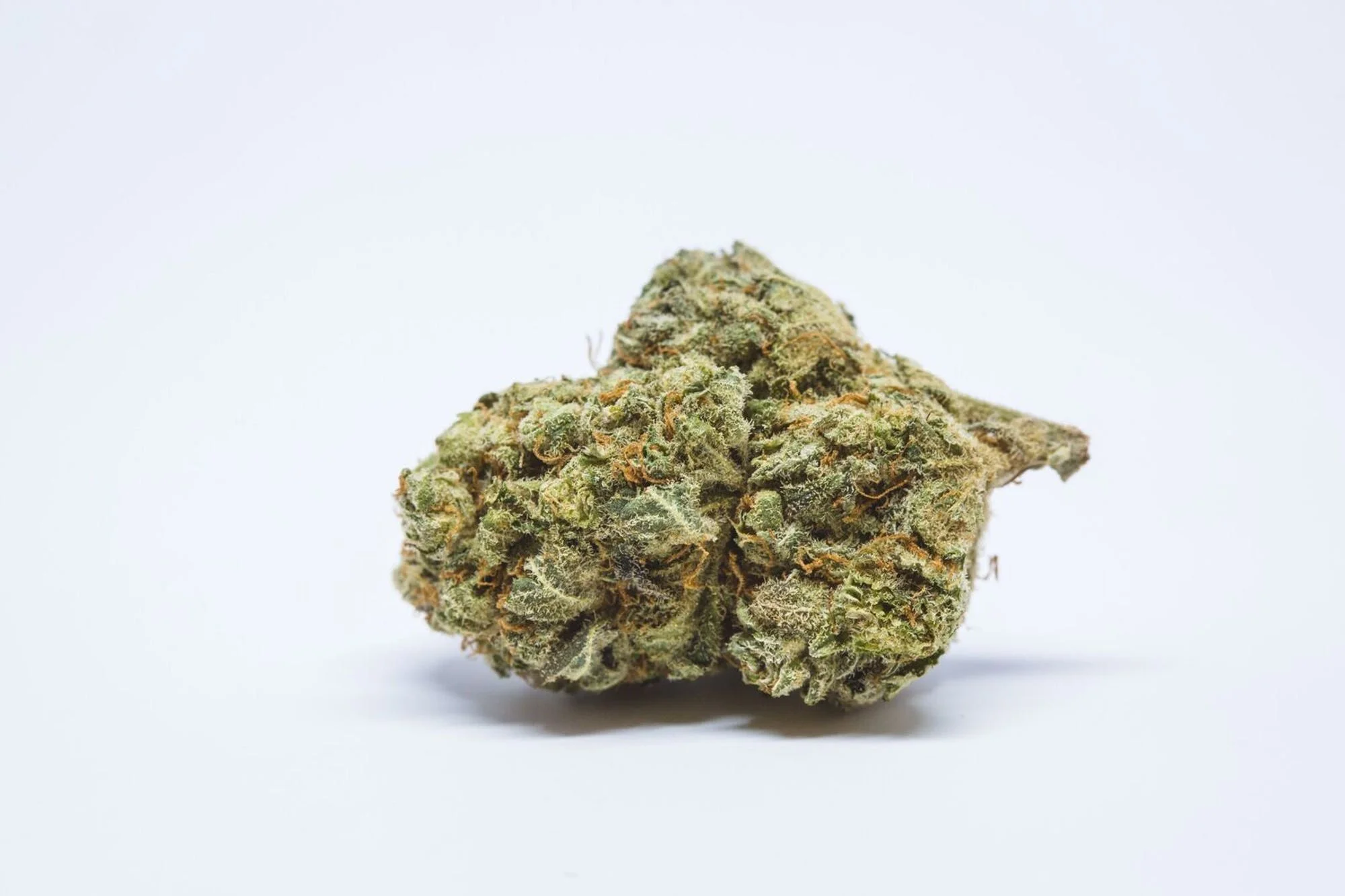 Strain Review: Dairy Queen - Weed Delivery Tri-Cities