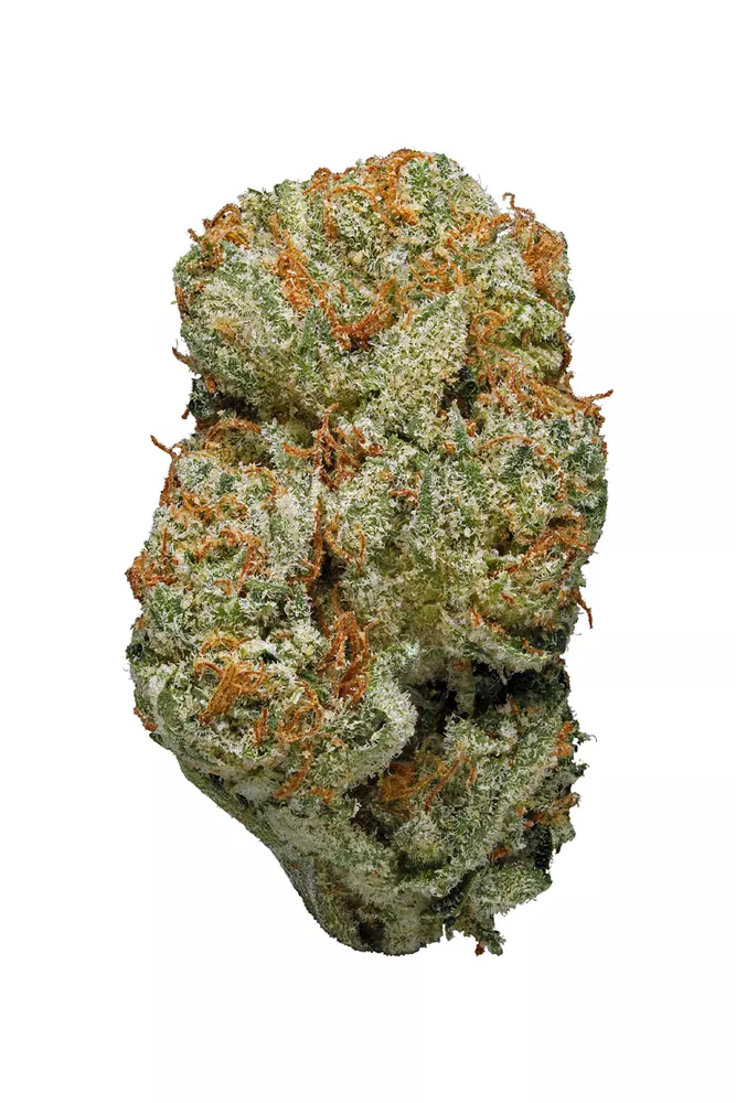 Strain Review: Hawaiian Snow - Weed Delivery Tri-Cities