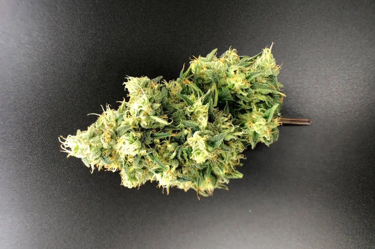 Strain Review: Head Cheese - Weed Delivery Tri-Cities