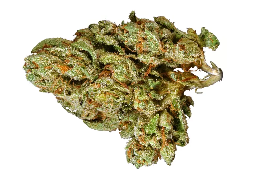 Strain Review: Ray Charles - Weed Delivery Tri-Cities
