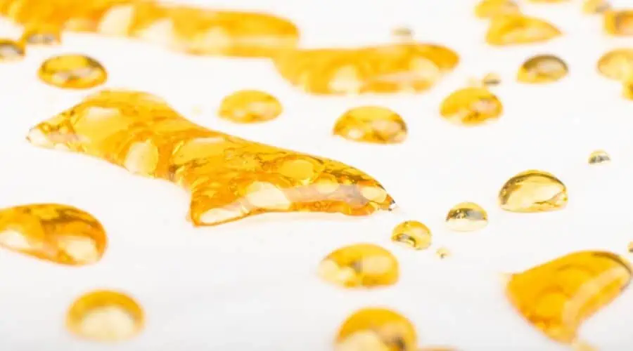 How Can I Tell If My Shatter Is Good Quality? - Weed Delivery Tri-Cities