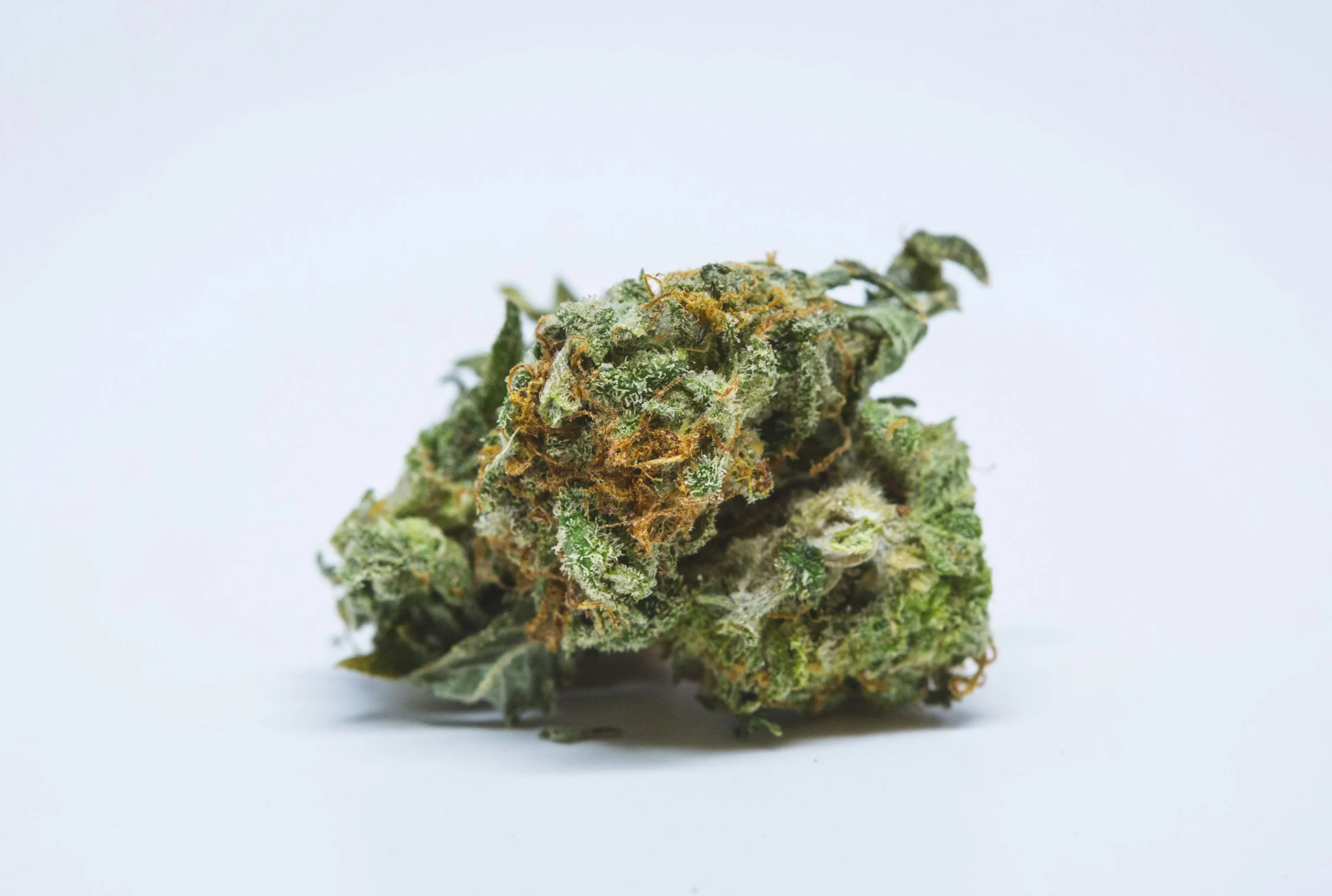 Strain Review: Trinity - Exploring the Best of Canadian Cannabis - Weed ...