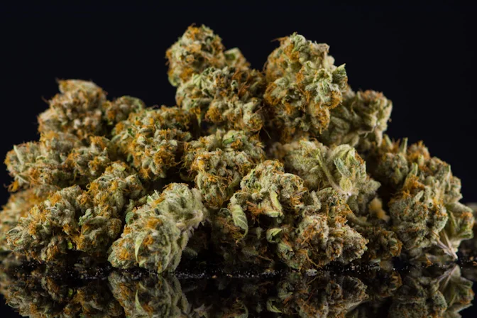 Strain Review: ZaZa - Weed Delivery Tri-Cities