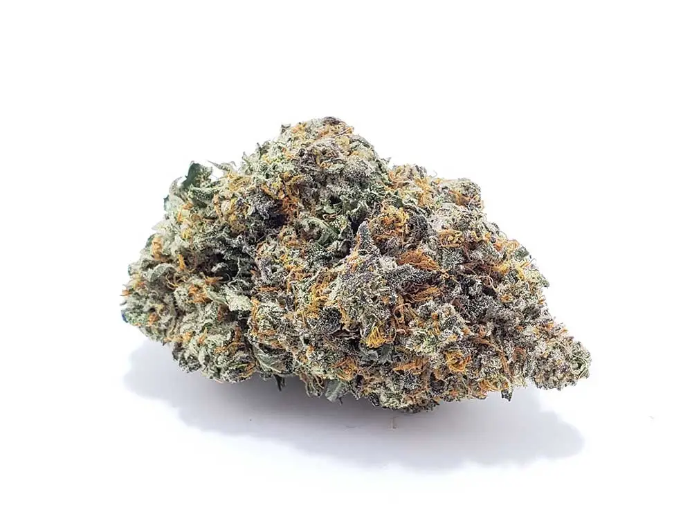 Strain Review: Blue Gelato - Greenmates Vancouver