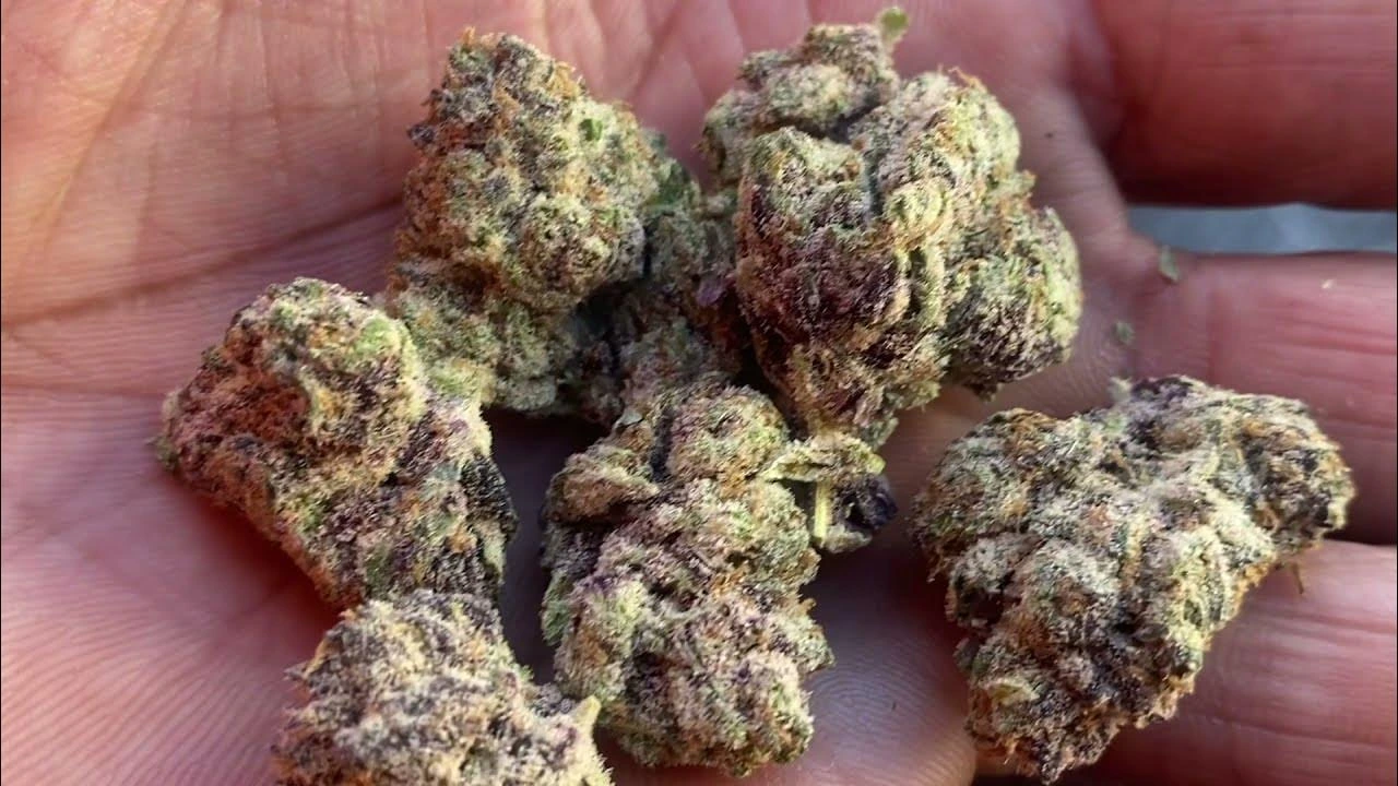 Strain Review: Emergen C