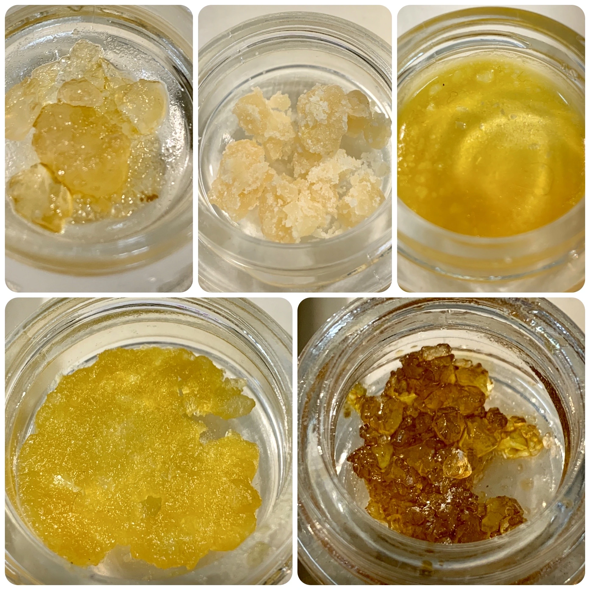 Exploring the World of Cannabis Concentrates: A Comprehensive Guide ...