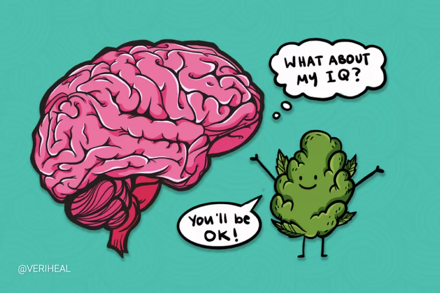 How Does Weed Affect Your Intelligence? - Weed Delivery Vancouver