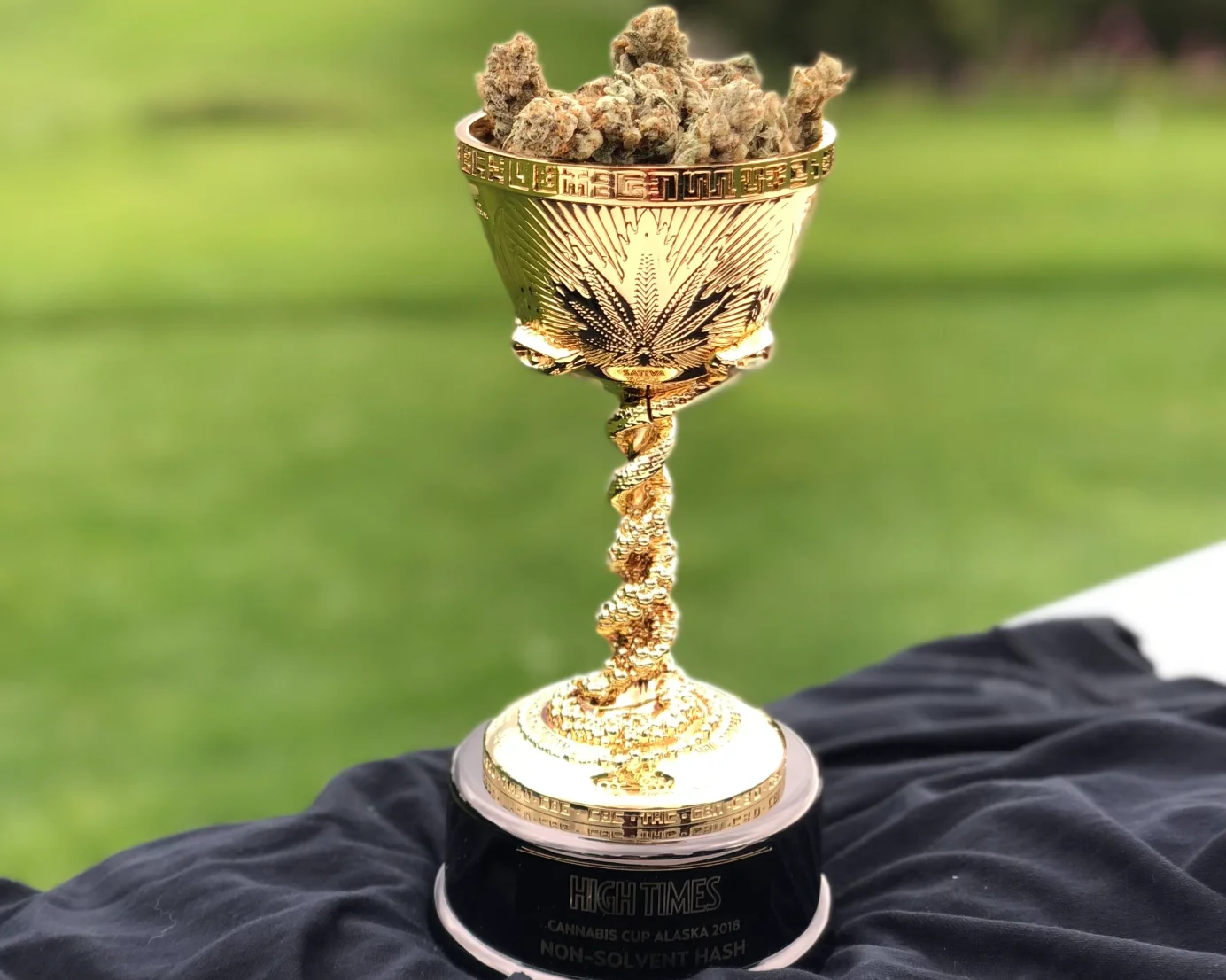 Famous Weed Competitions In BC - Weed Delivery Vancouver