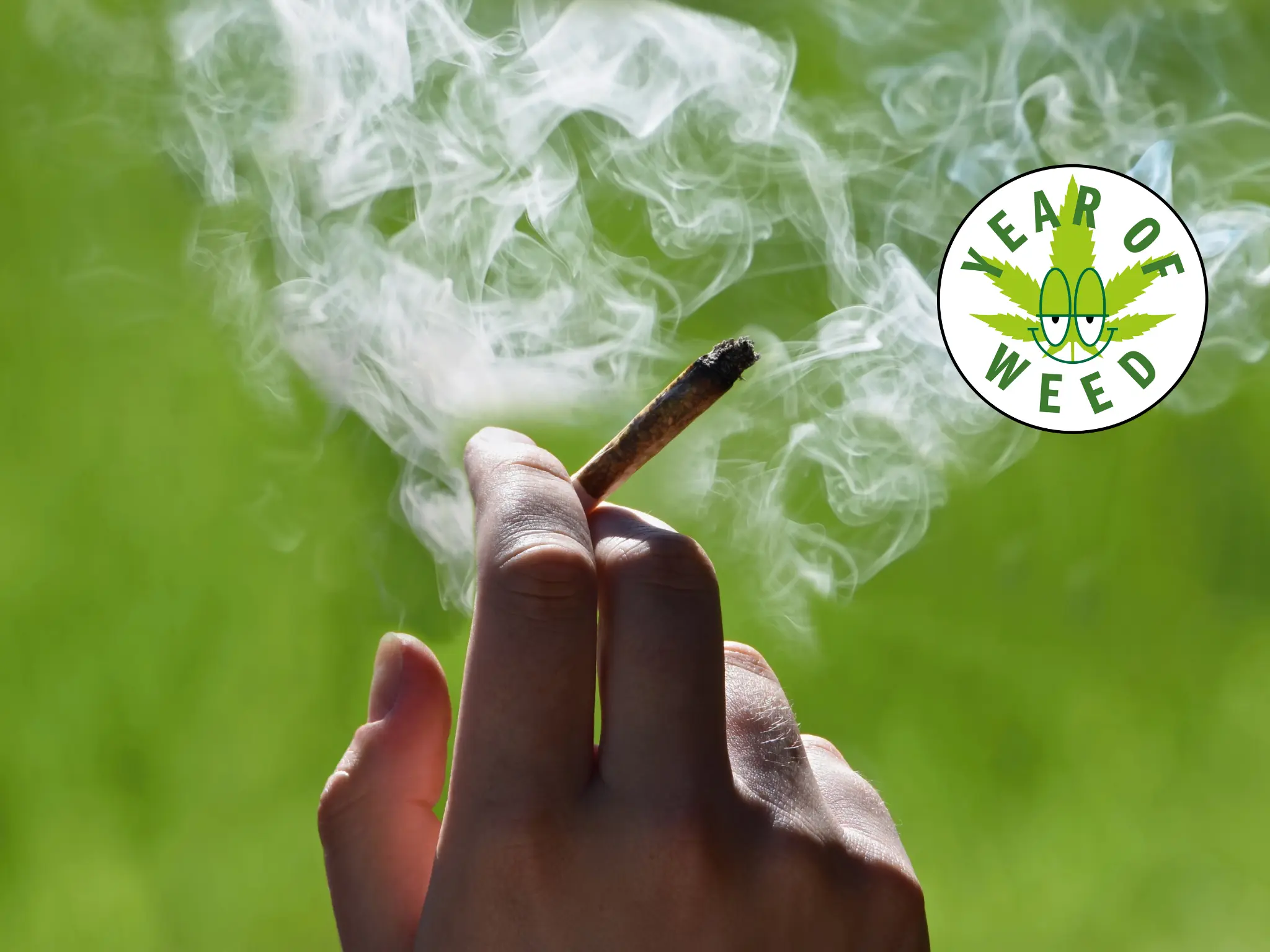 UBC's Cannabis Haven: Exploring Vancouver's Best Spots to Enjoy Weed ...