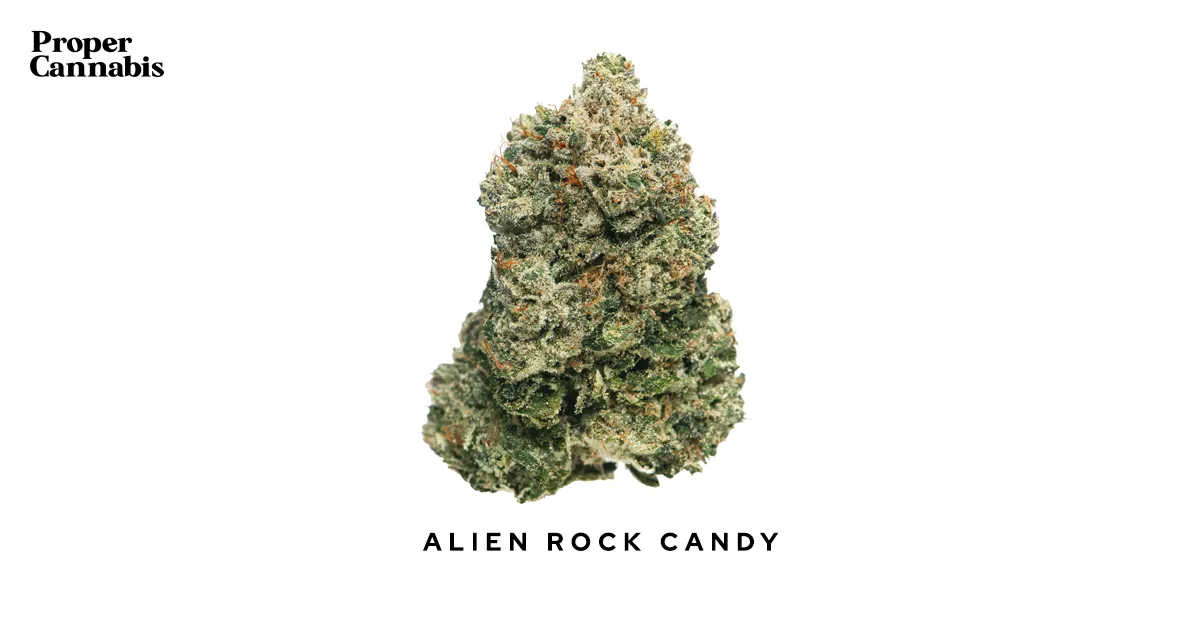 Strain Review: Alien Rock Candy - Weed Delivery Vancouver