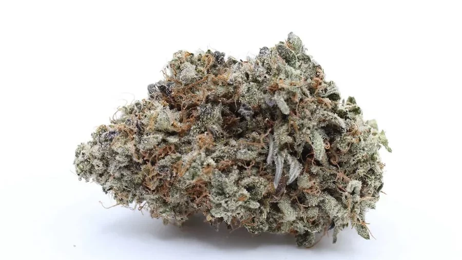 Strain Review: Alien Technology - Weed Delivery Vancouver