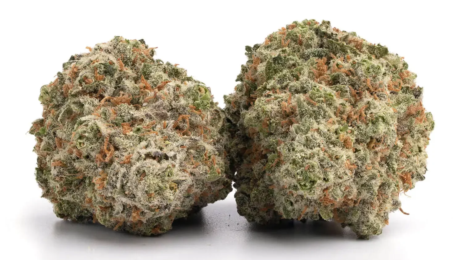 Strain Review: Early Pearl - Weed Delivery Vancouver