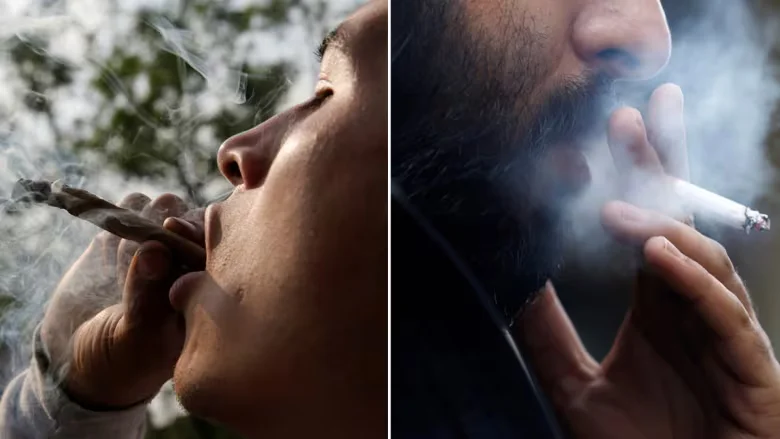 Why Doesn't Cannabis Smoke Stick Like Tobacco Smoke? - Weed Delivery ...