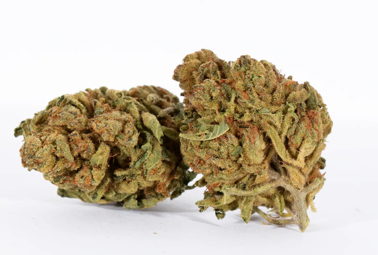 Strain Review: Hashplant - Weed Delivery Victoria