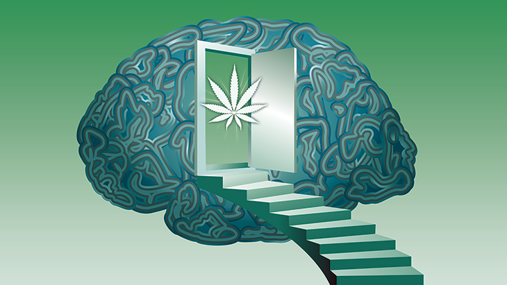 The Intriguing Impact of Cannabis on Your Brain - Weed Delivery Victoria
