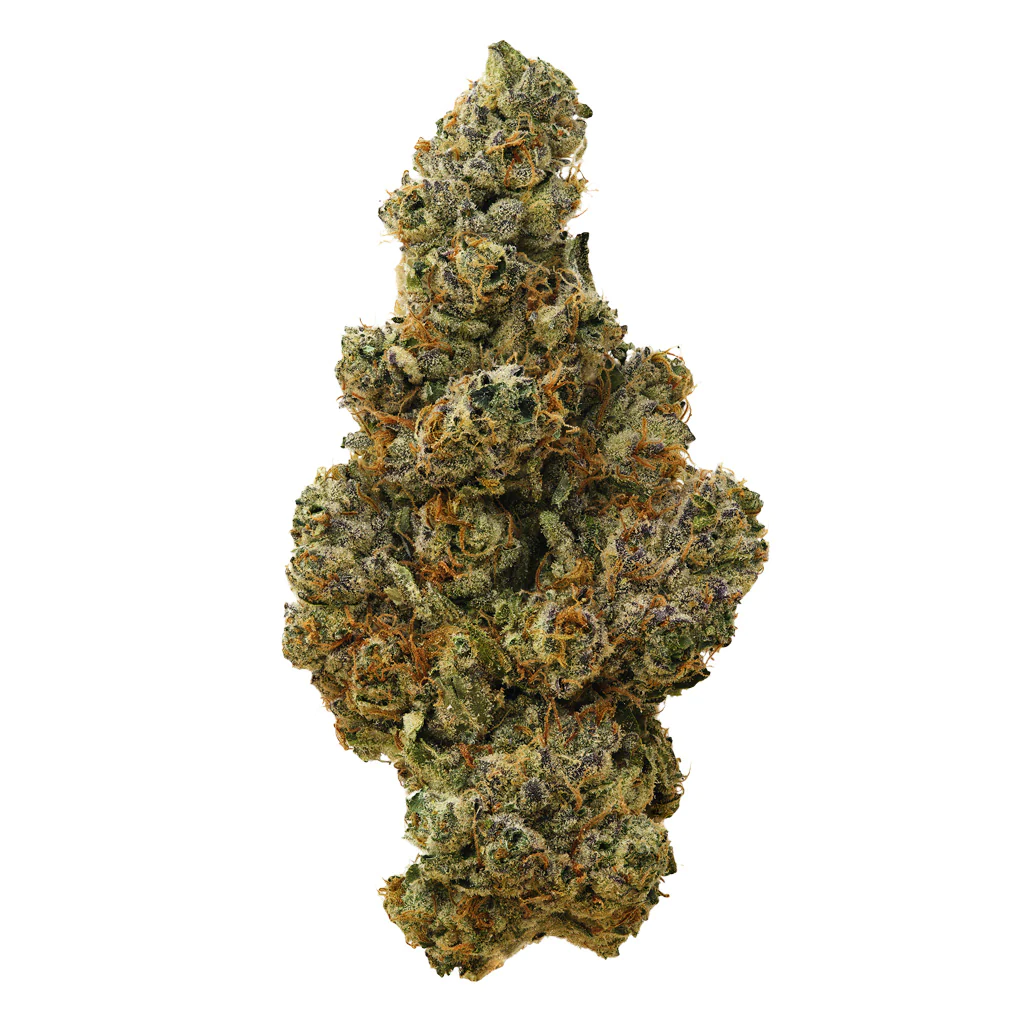 Strain Review: Garlic - Weed Delivery Victoria