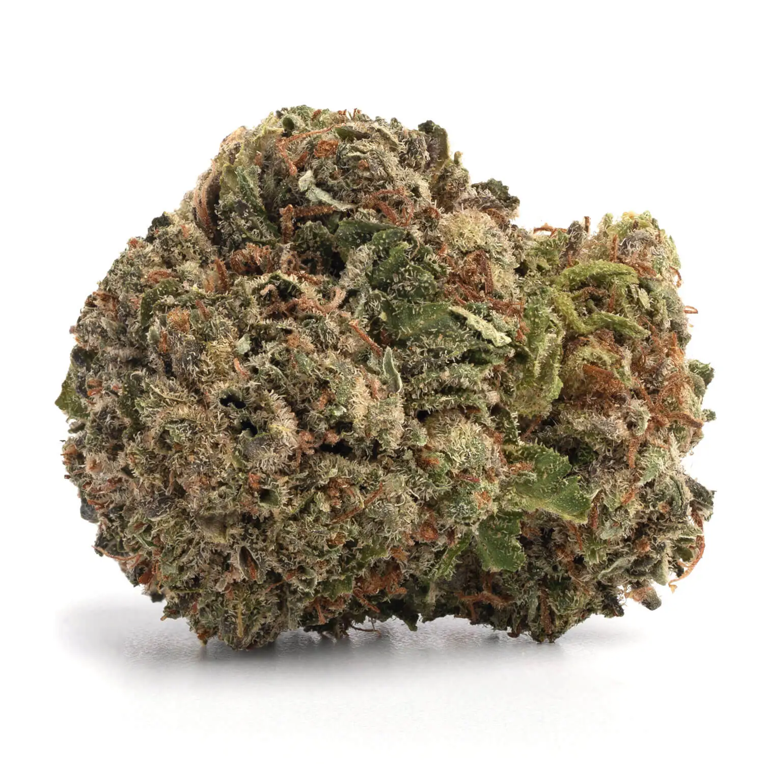 Strain Review: Garlic - Weed Delivery Victoria