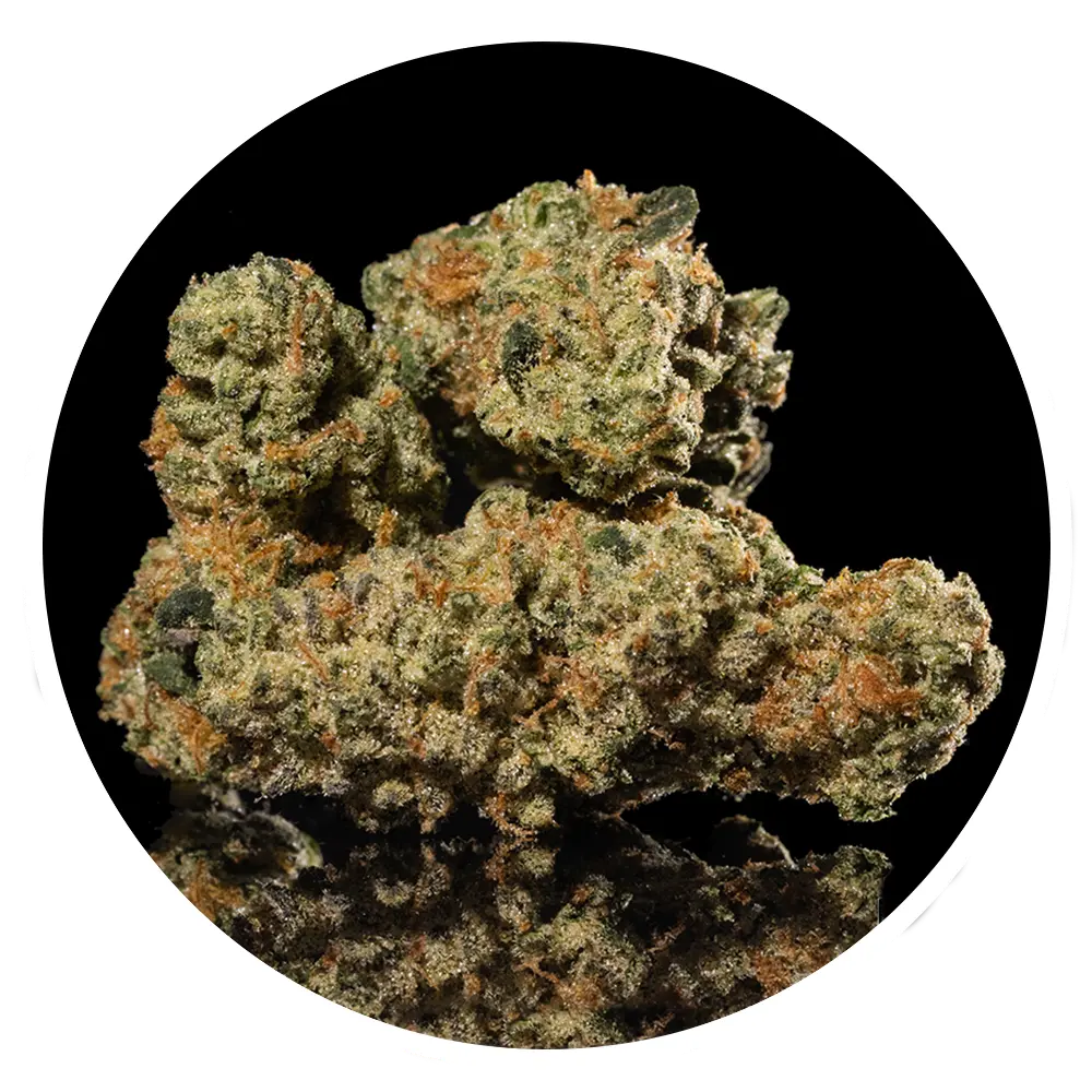 Strain Review: Garlic - Weed Delivery Victoria