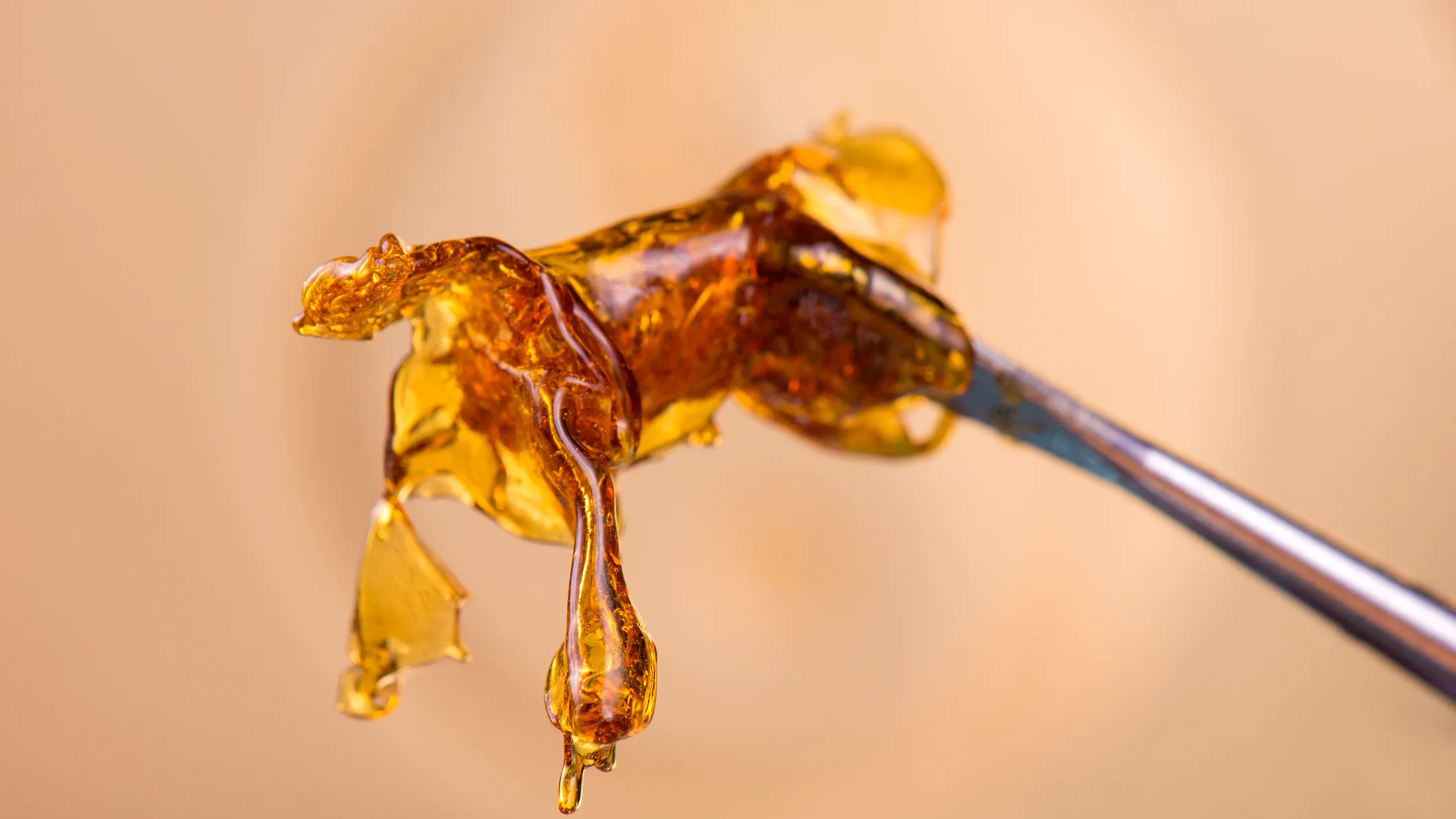 What is Shatter? A Comprehensive Guide to Extracts and Concentrates ...