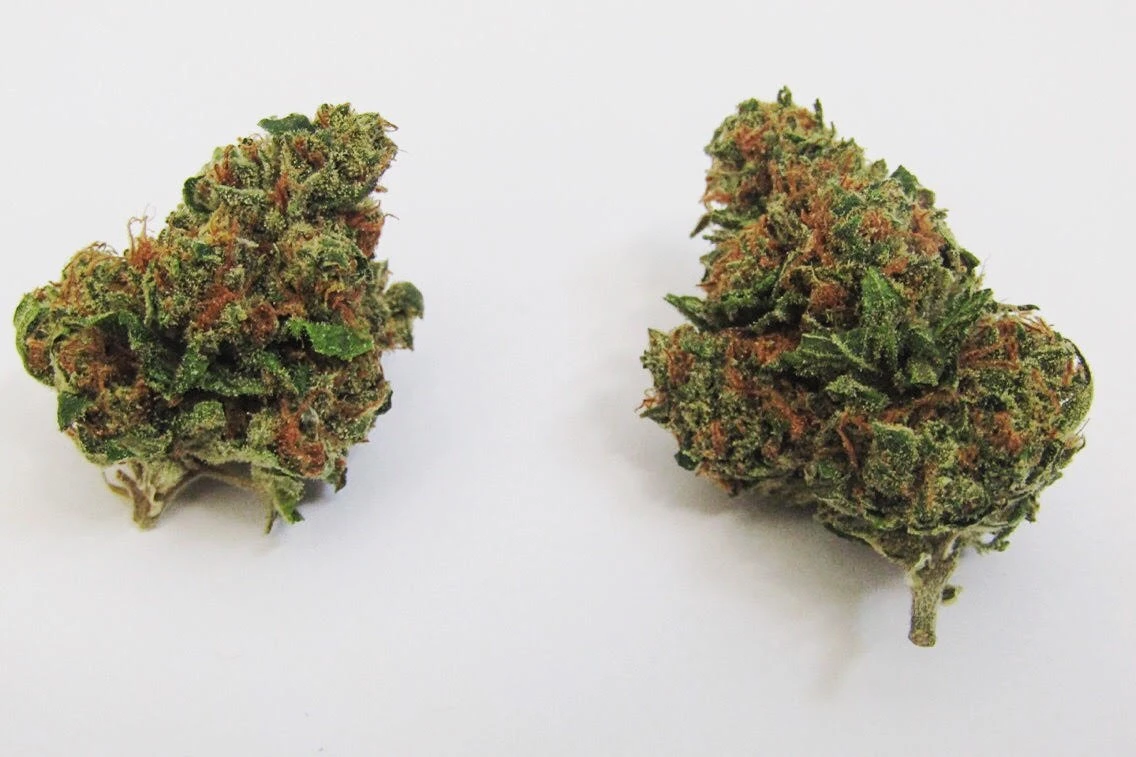 Strain Review: Colorado OG - Weed Delivery Winnipeg