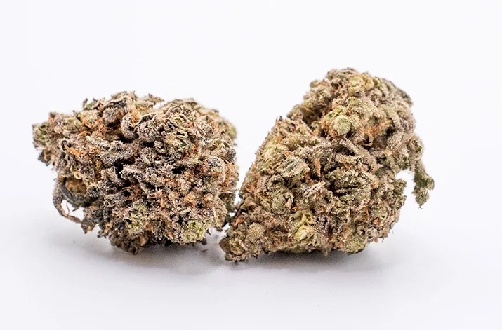 Strain Review: Fatso - Weed Delivery Winnipeg
