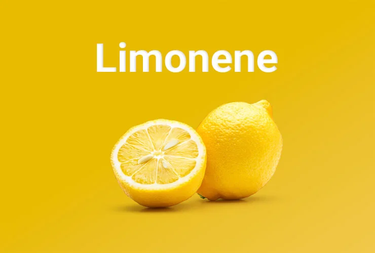 Limonene Unleashed: Exploring the Zesty Wonders of This Citrusy Terpene ...