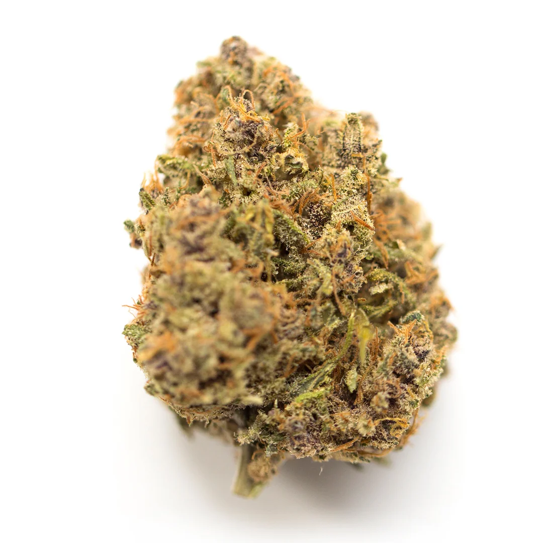 Strain Review: Mr. Nice Guy - Weed Delivery Winnipeg