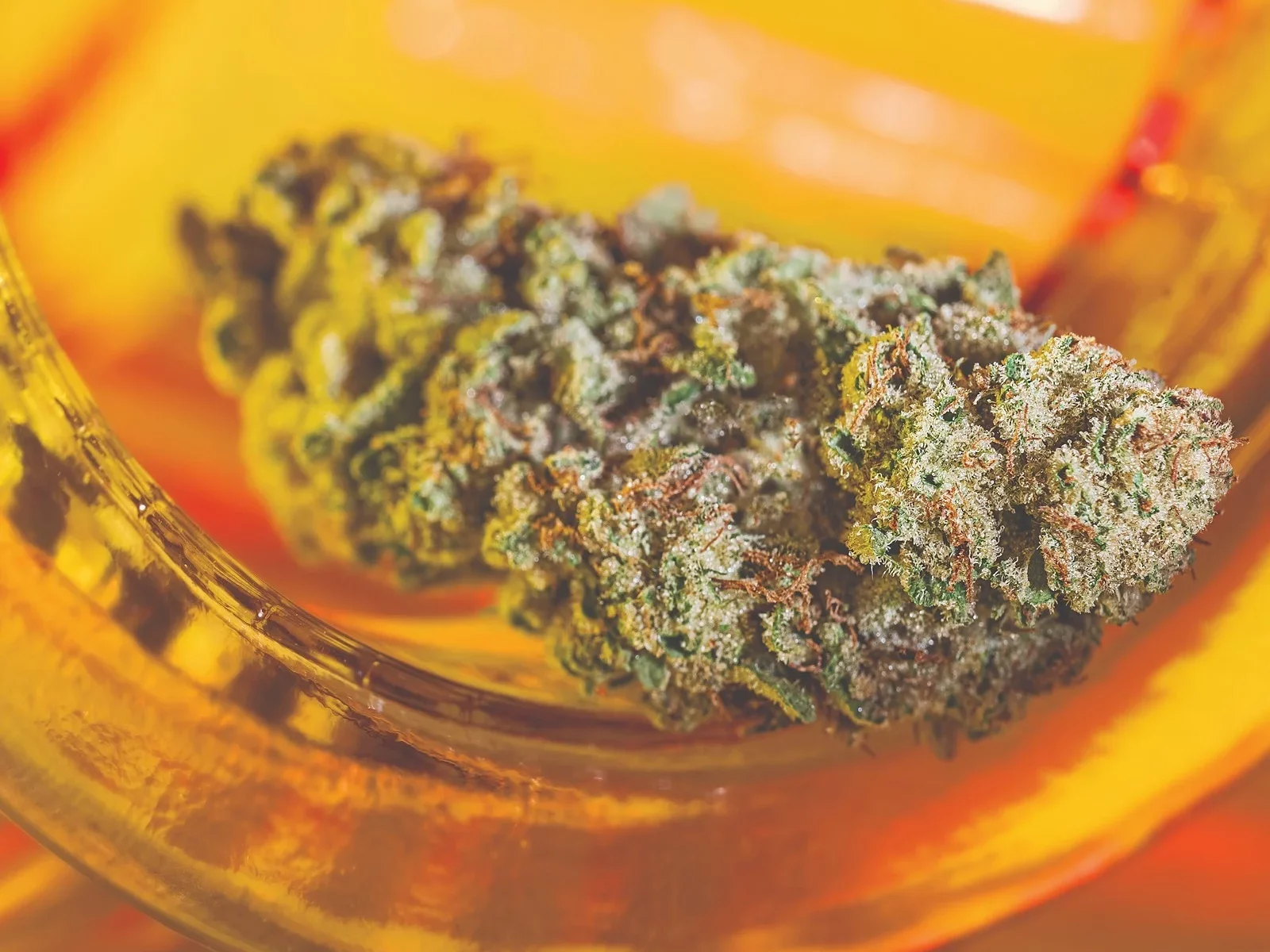 Strain Review: Red Pop - Weed Delivery Winnipeg