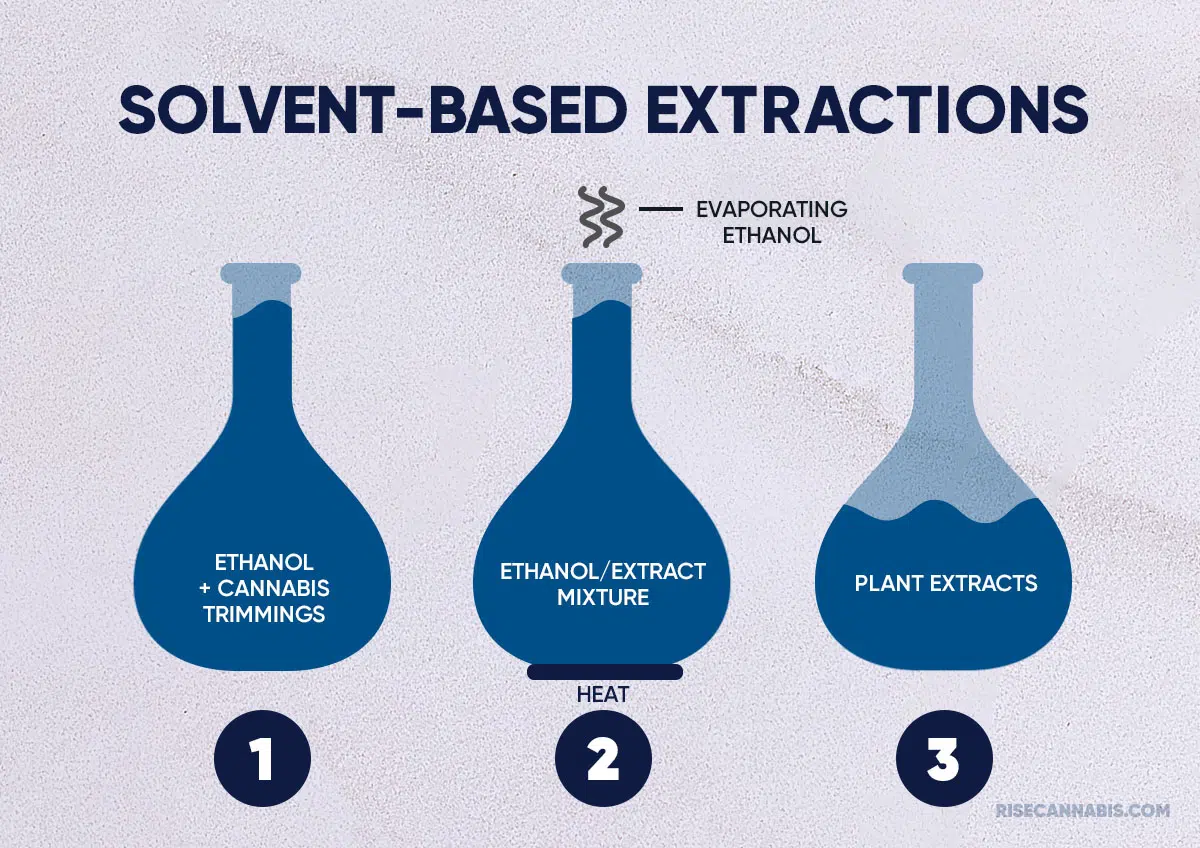 Solvent vs. Solventless Extracts: Decoding Cannabis Concentrates - Weed ...
